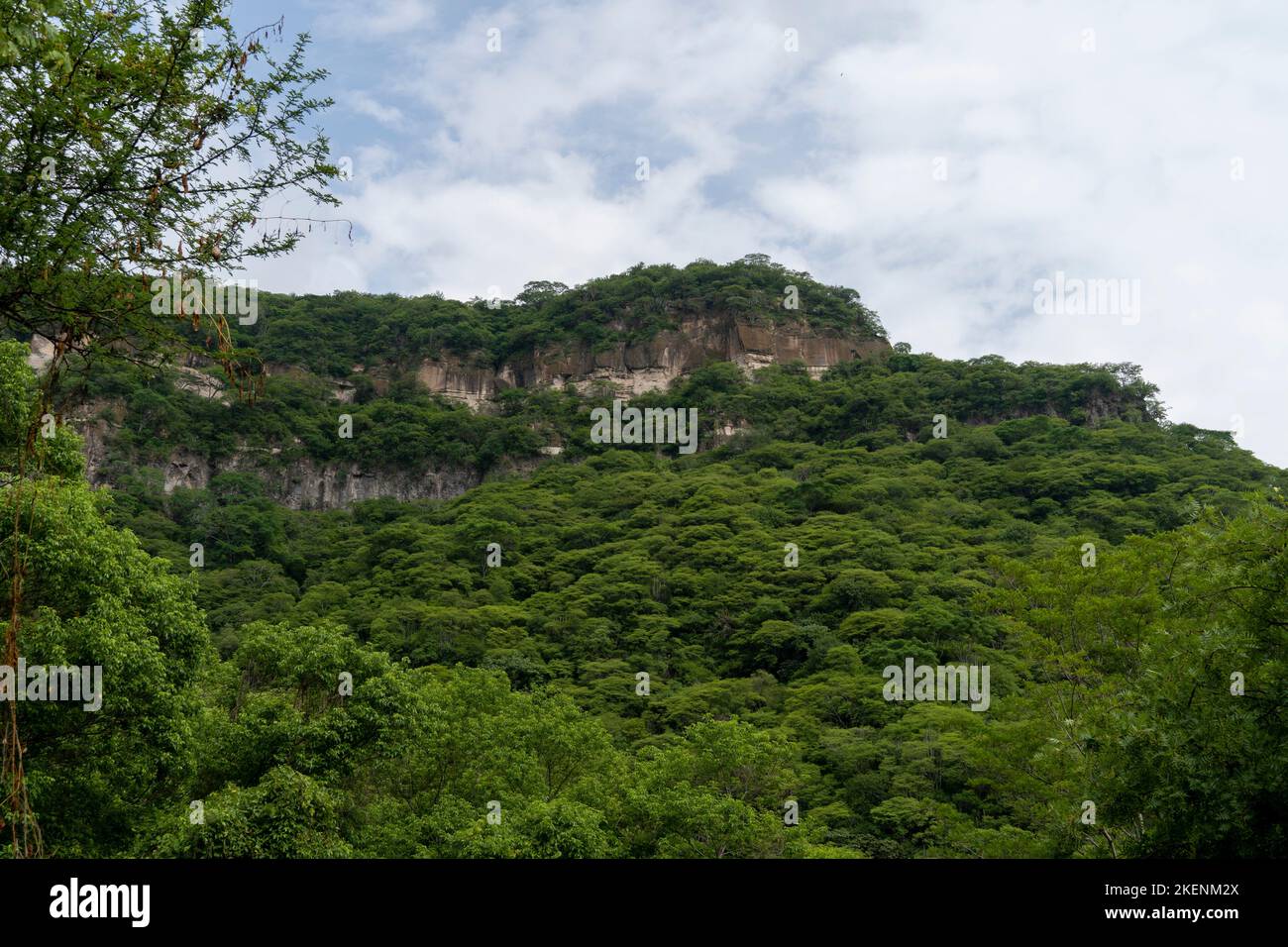 The Huentitan ravine in Guadalajara, full of vegetation in Mexico Stock ...