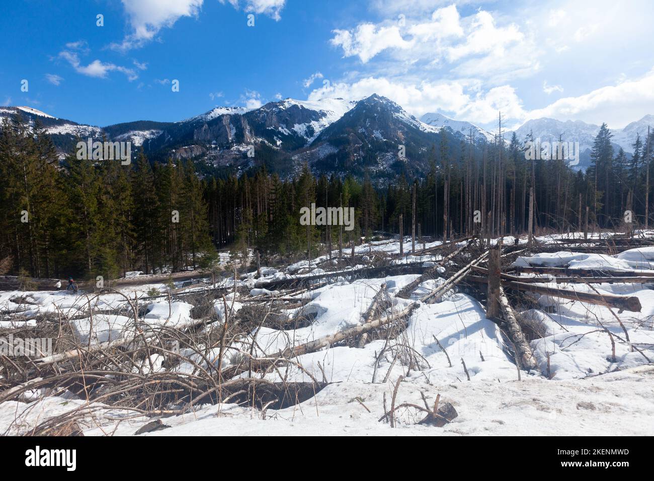 High Tatras mountains panorama with snow and forest Stock Photo - Alamy