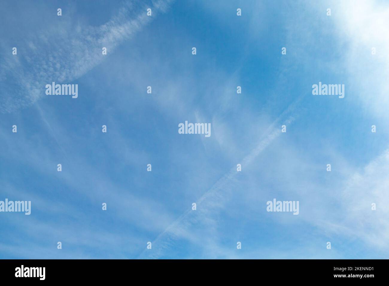 Delicate environment hi-res stock photography and images - Alamy