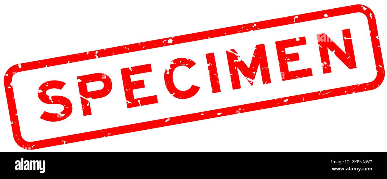 Grunge red specimen word square rubber seal stamp on white background Stock Vector Image & Art ...