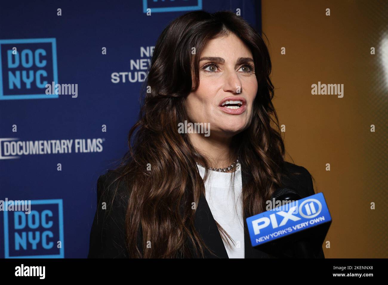 New York, NY, USA. 13th Nov, 2022. Idina Menzel at arrivals for IDINA ...
