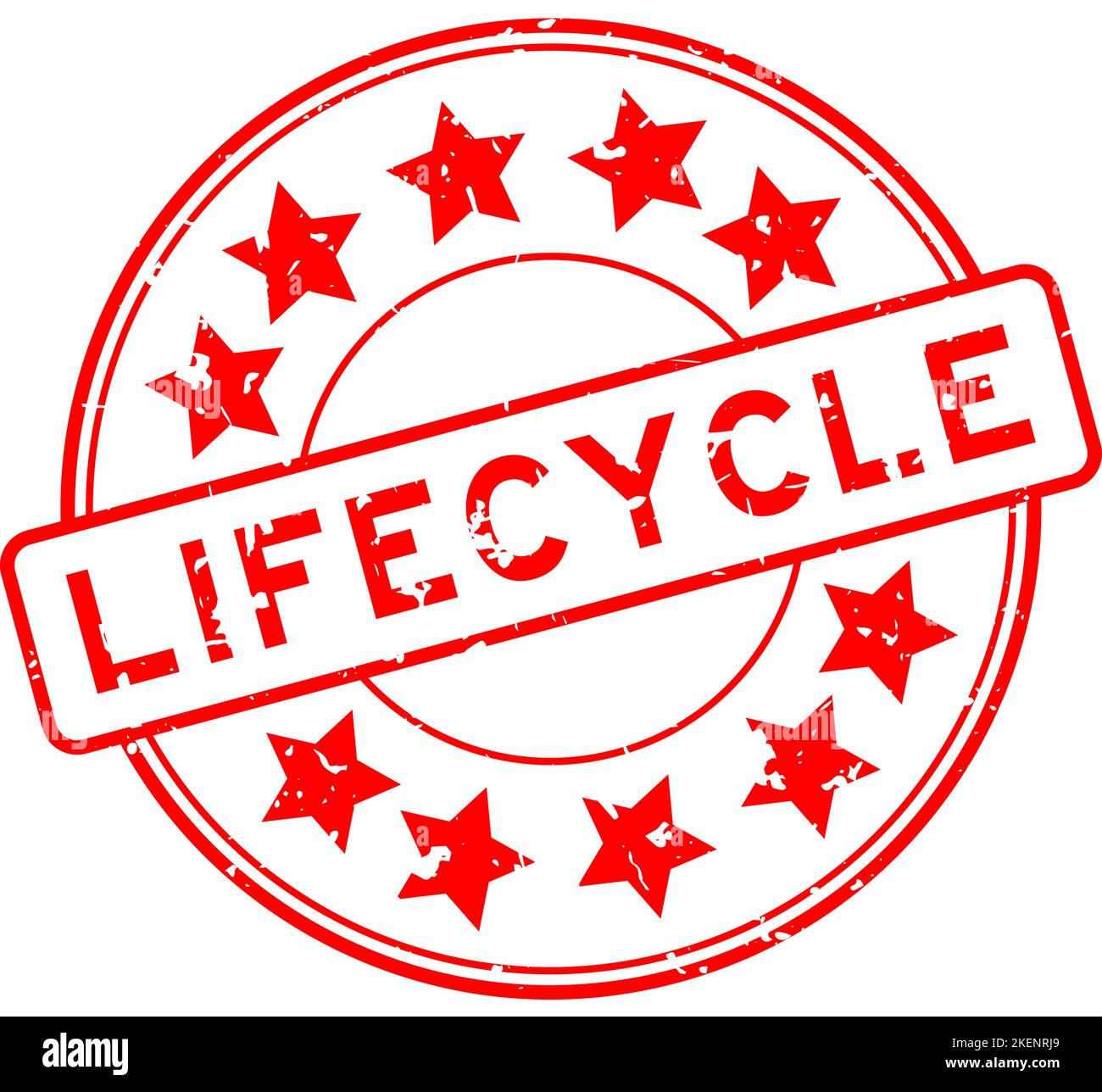 Grunge red lifecycle word with star icon round rubber seal stamp on white background Stock ...