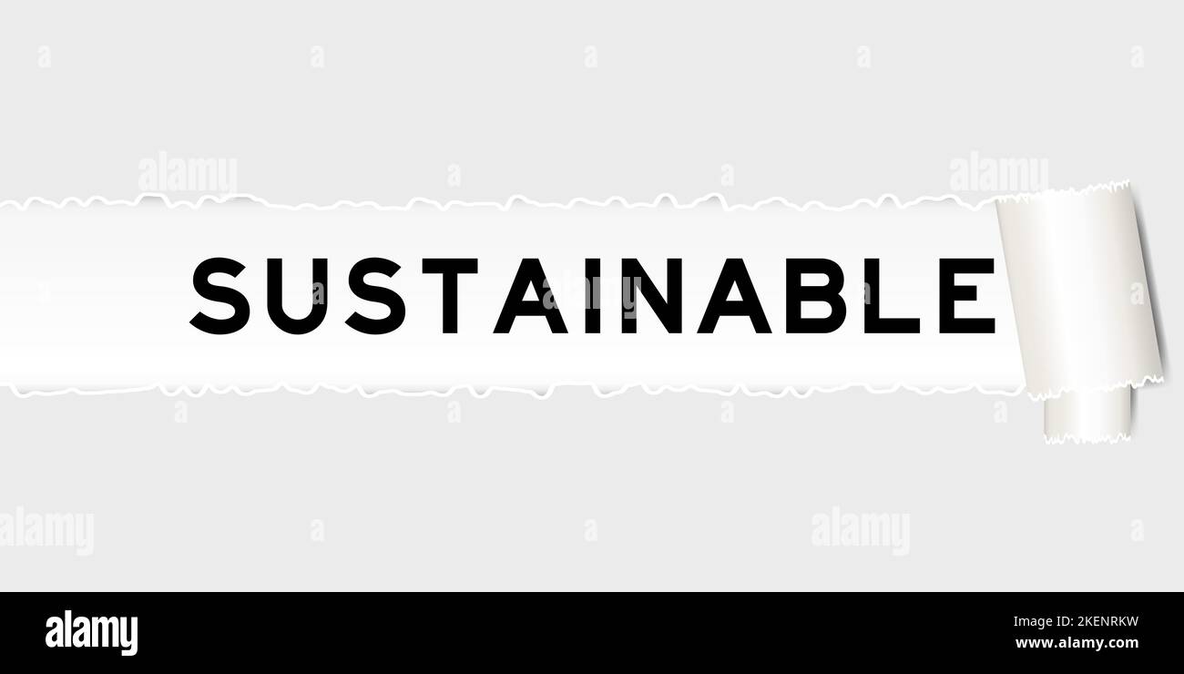 Ripped gray paper background that have word sustainable under torn part ...
