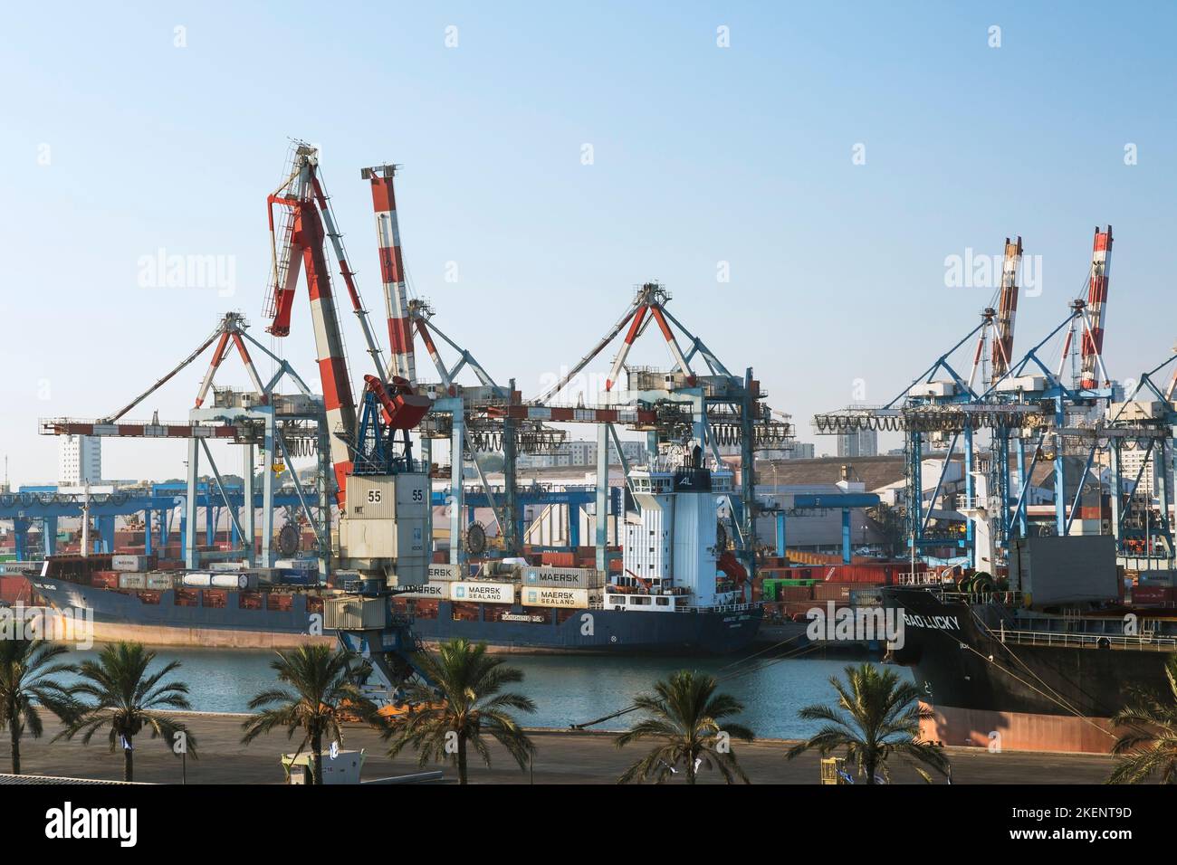 Four-link and gantry cargo loading cranes on dock and docked Bao Lucly ...