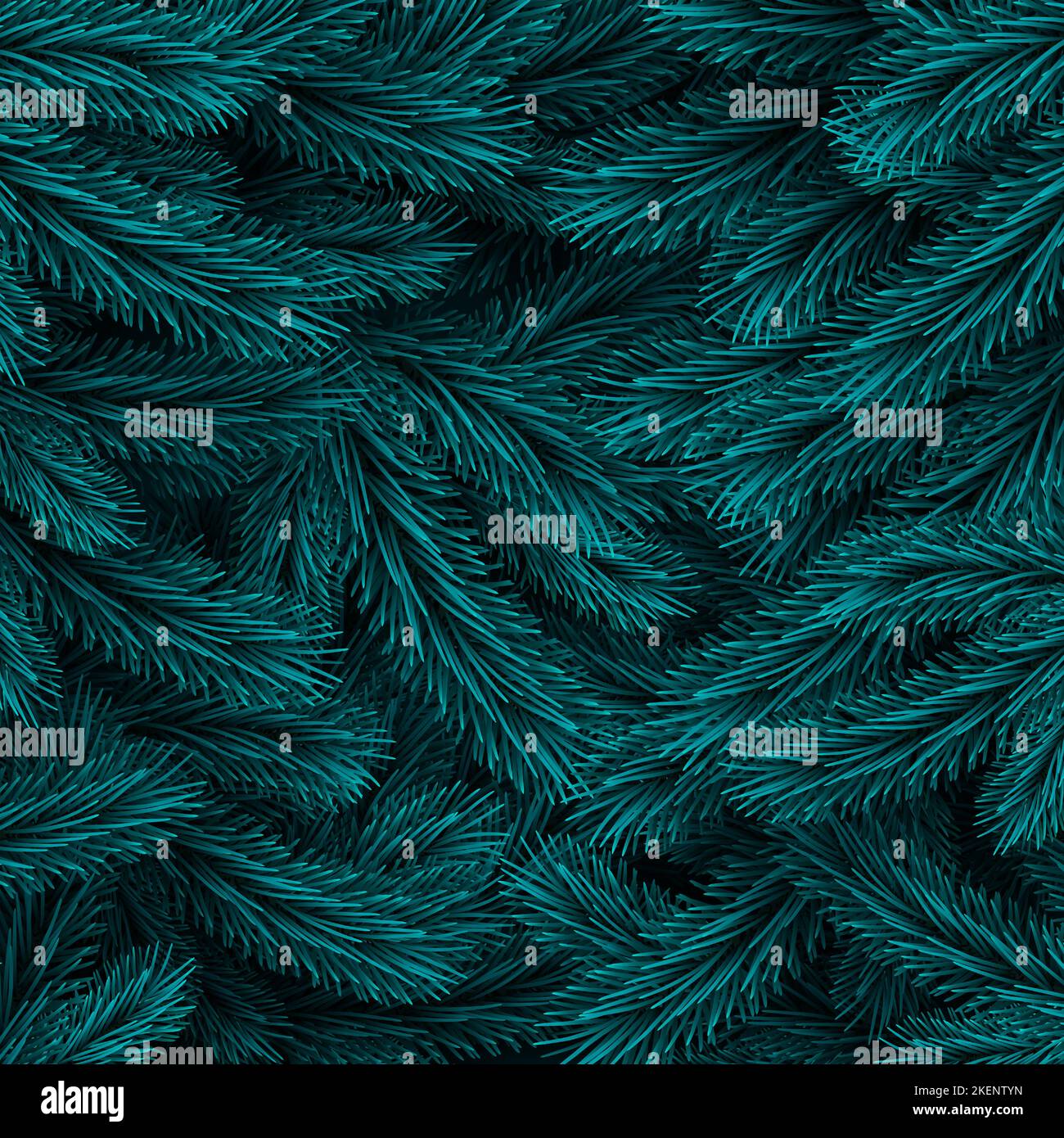 Blue realistic fir branches Stock Vector Images - Alamy