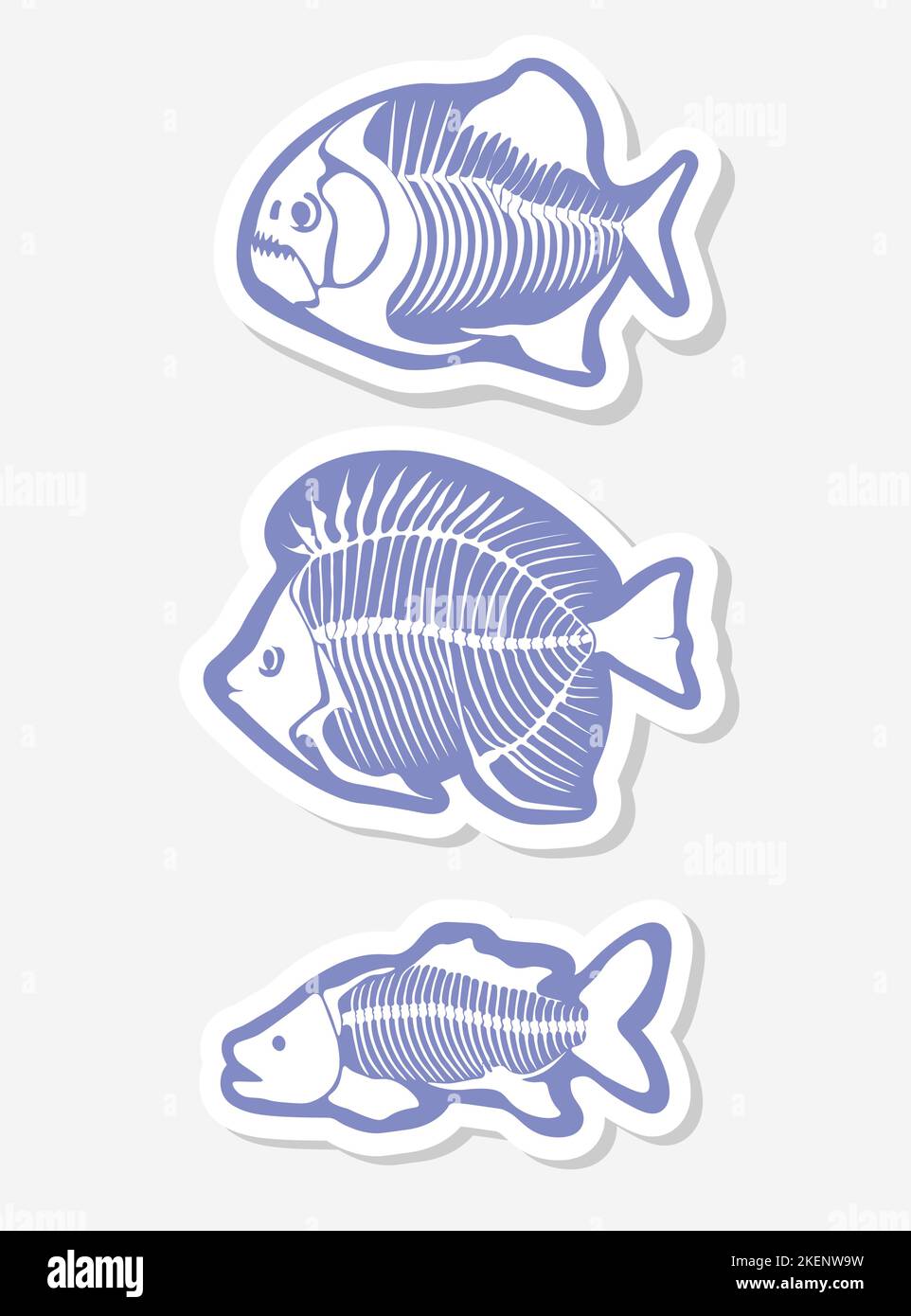 Vector sticker set with fish skeleton isolated on a white background ...