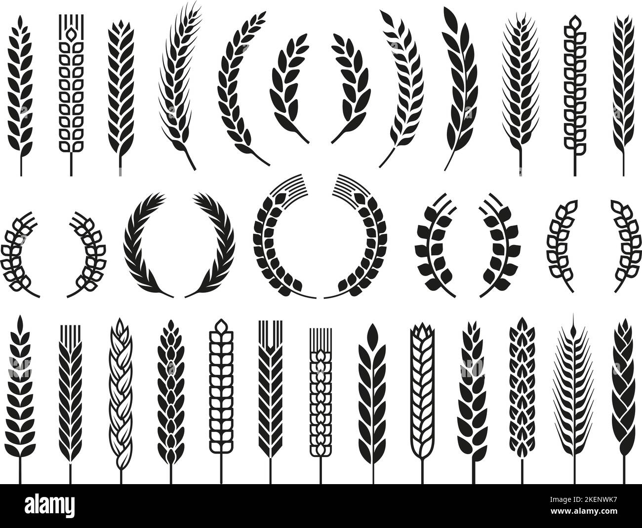Wheat barley ears, oat isolated frames and wreaths. Grains graphic ...