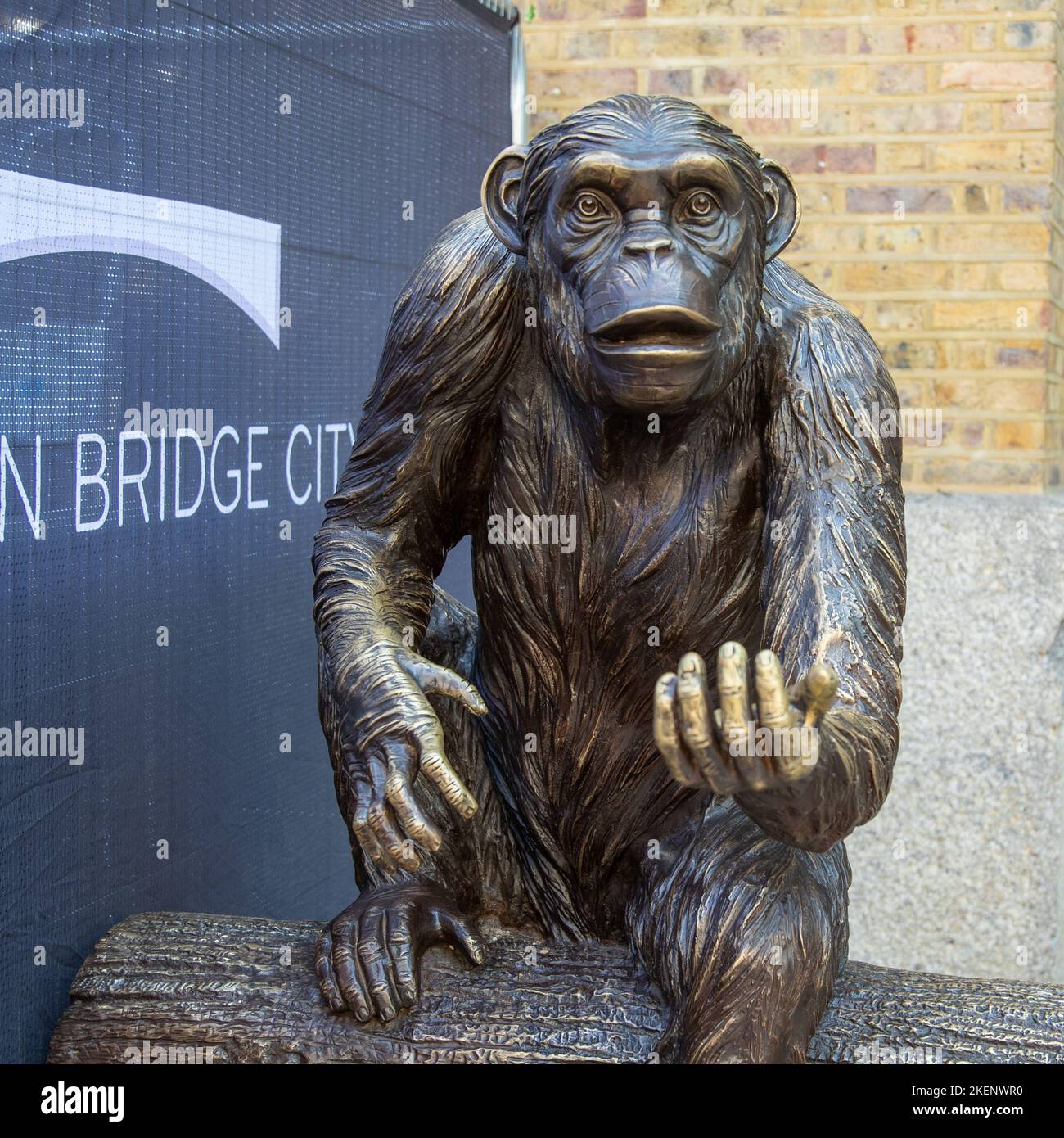 Monkey bridge england hi-res stock photography and images - Alamy