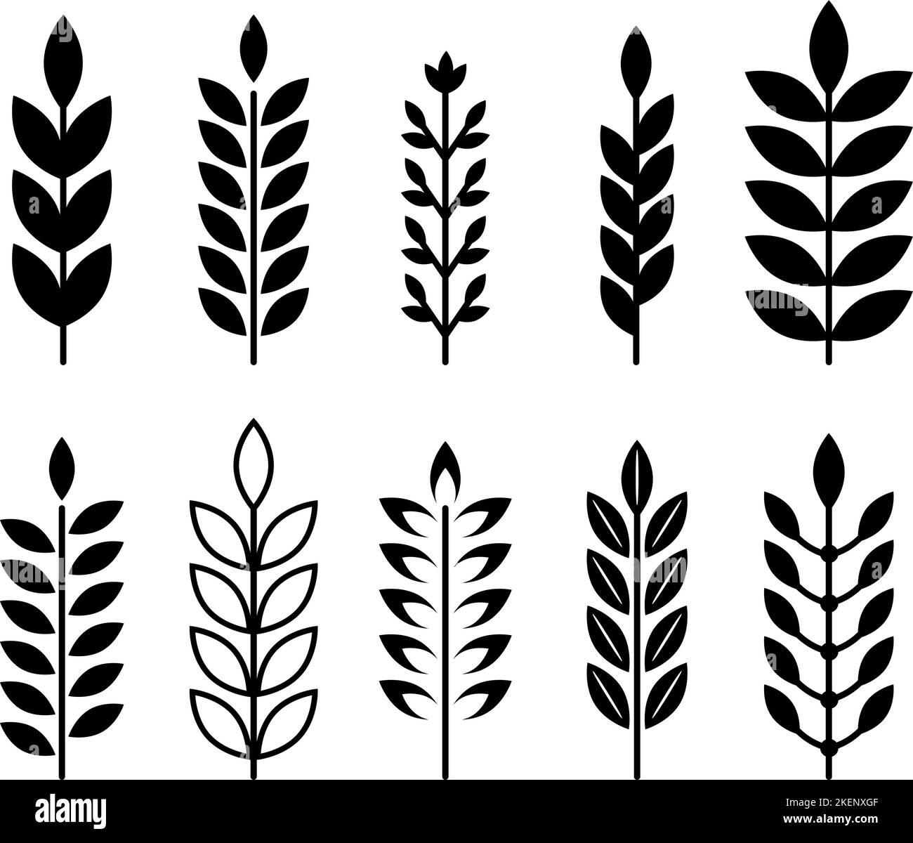 Black decorative wheat, cereals icons. Ears of wheat abstract vector ...