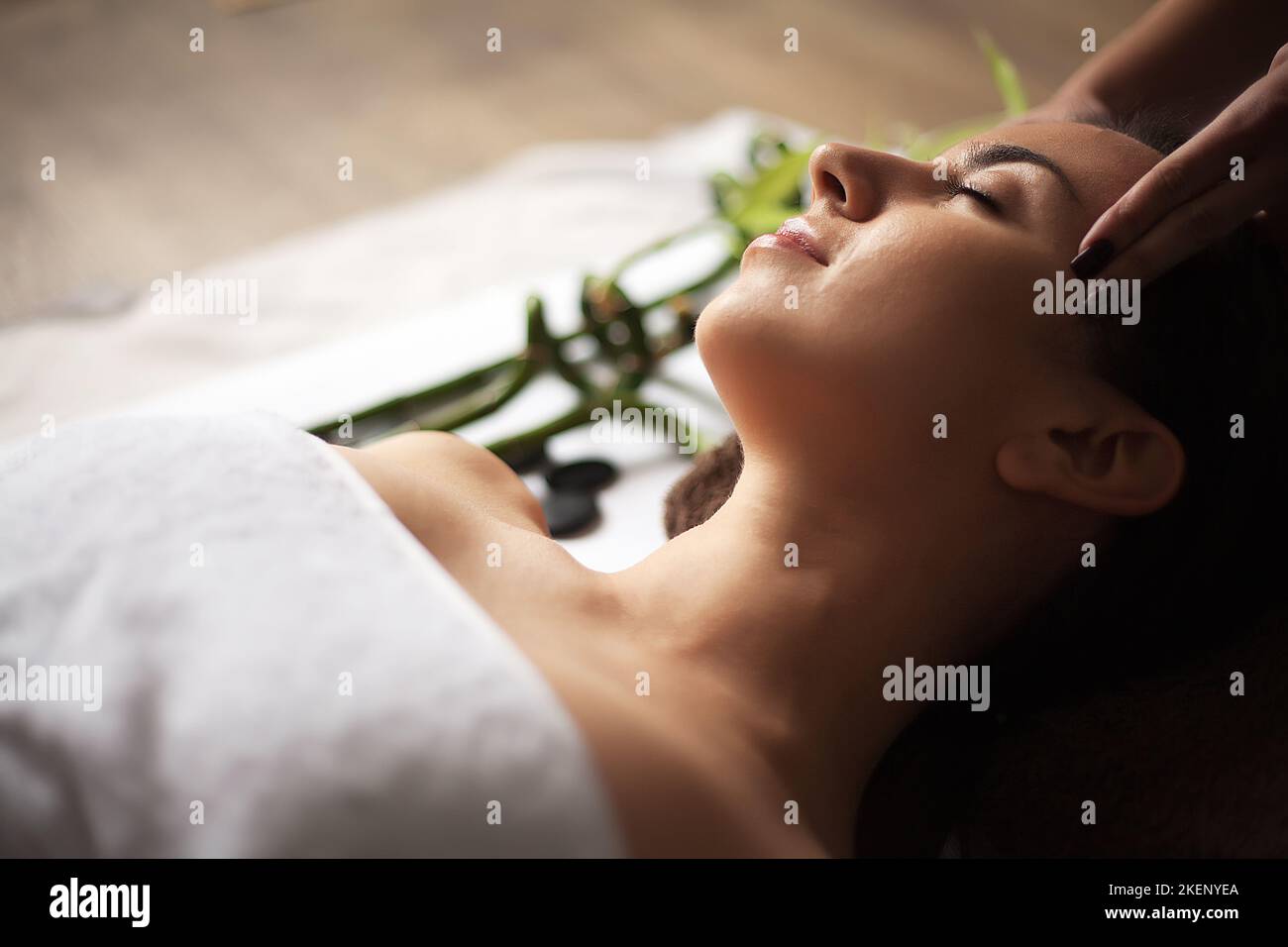 Beautiful Young Woman Getting a Face Treatment at Beauty Salon Stock ...