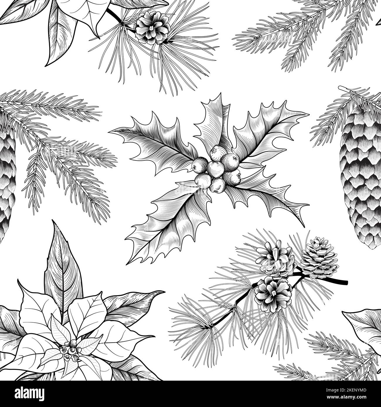 Holly l Stock Vector Images - Alamy