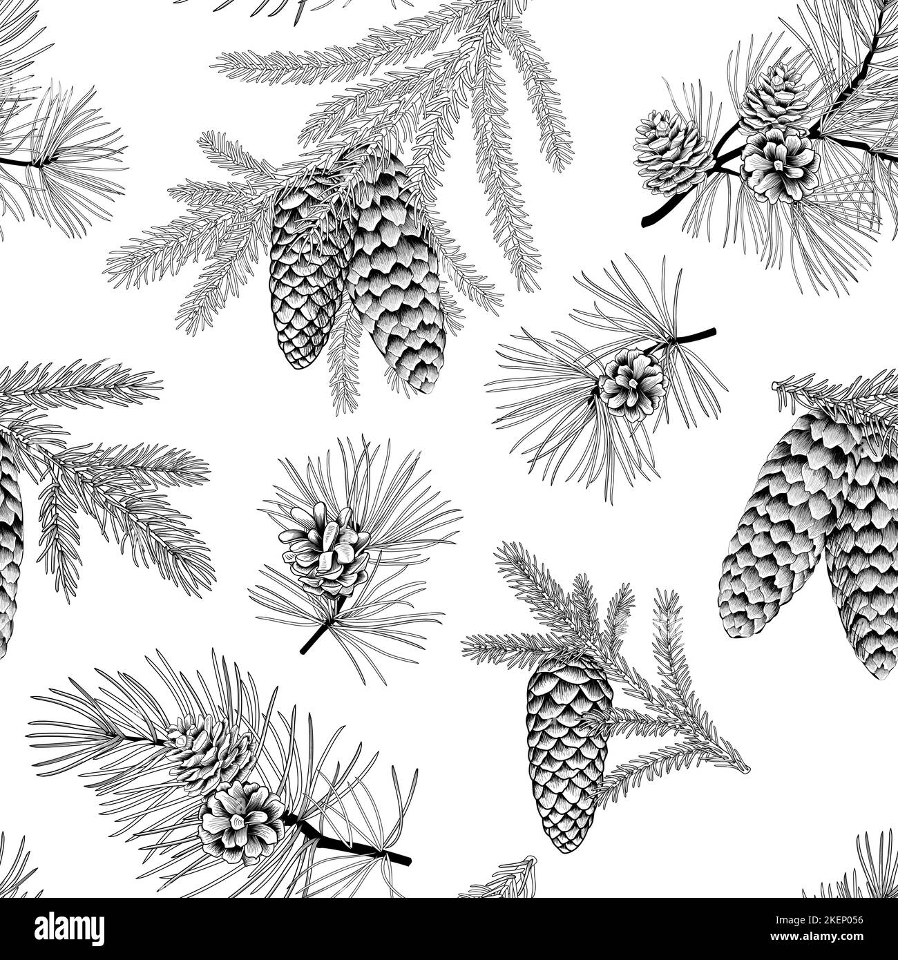 Tree lin Stock Vector Images - Alamy