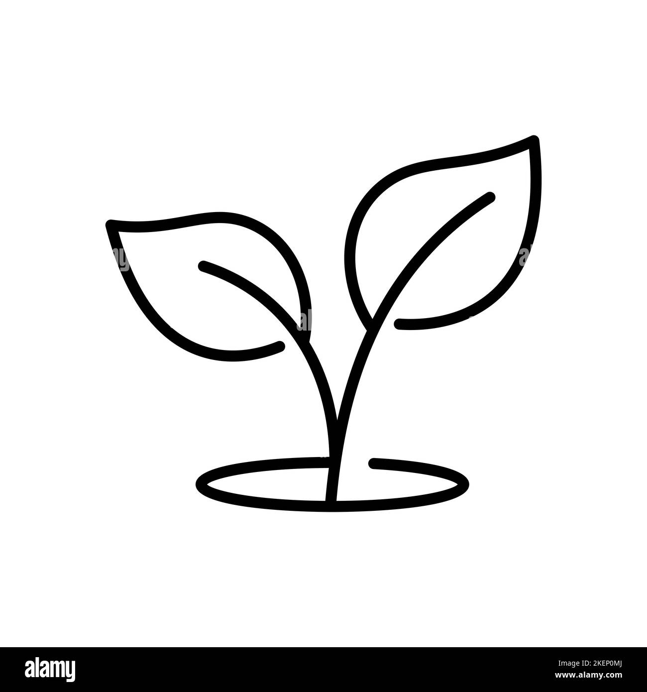Branch icon. Branch with leaves. Vector illustration. Black isolated ...