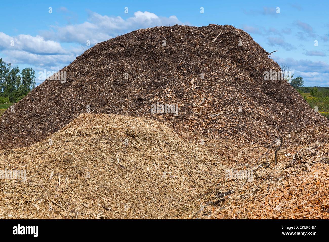 Shredded leaves compost hi-res stock photography and images - Alamy