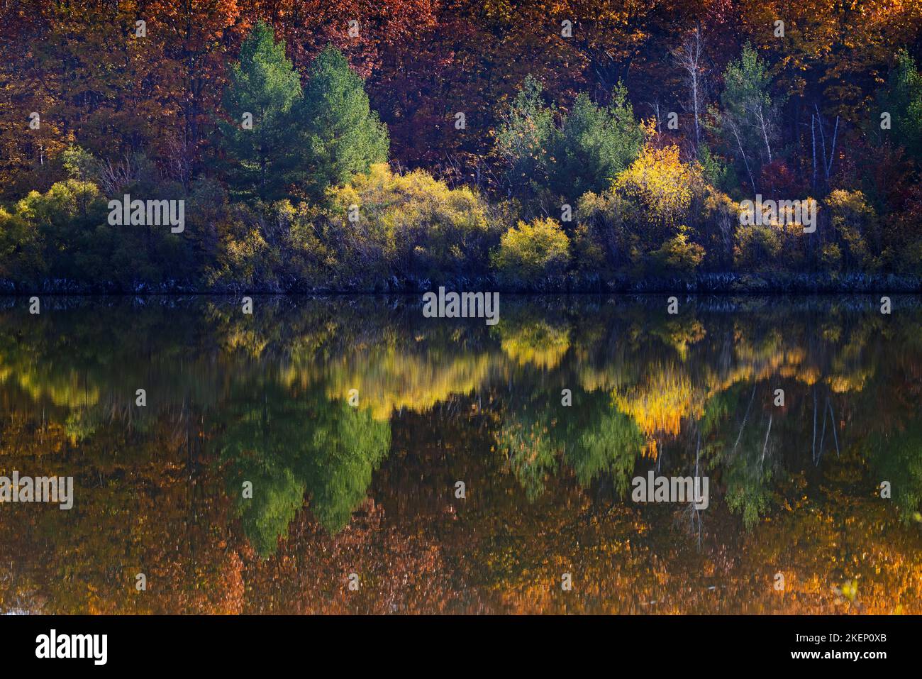 Autumn coolers in Oka national park, Canada Stock Photo - Alamy