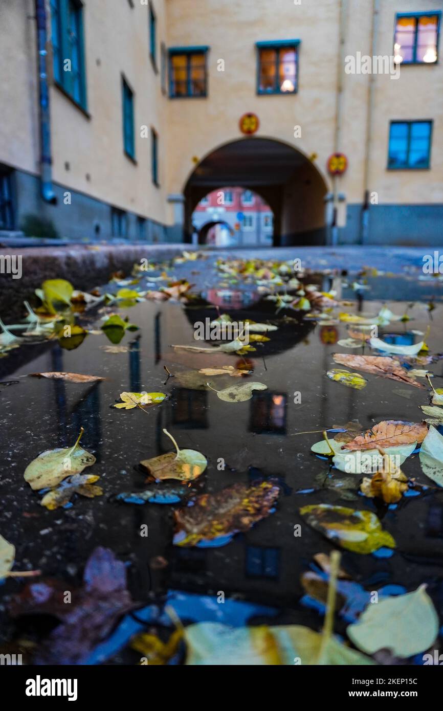 Big puddle in front of building during autumn Stock Photo - Alamy