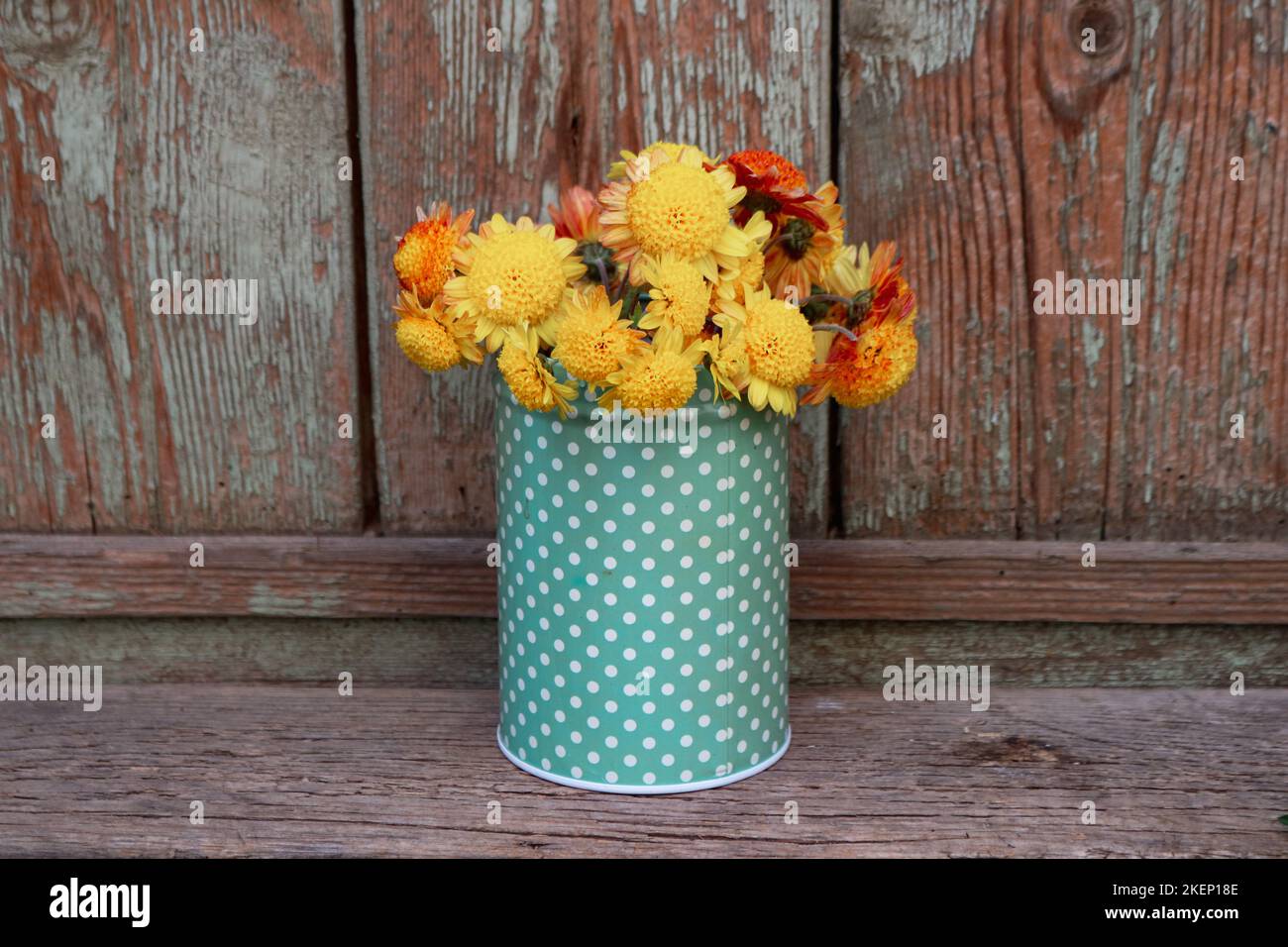 Potted flowers hi-res stock photography and images - Alamy