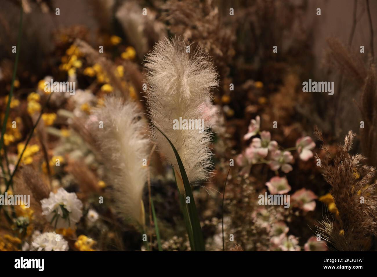 Sydney, Australia. 14th November 2022. Gucci Garden Archetypes Free ...