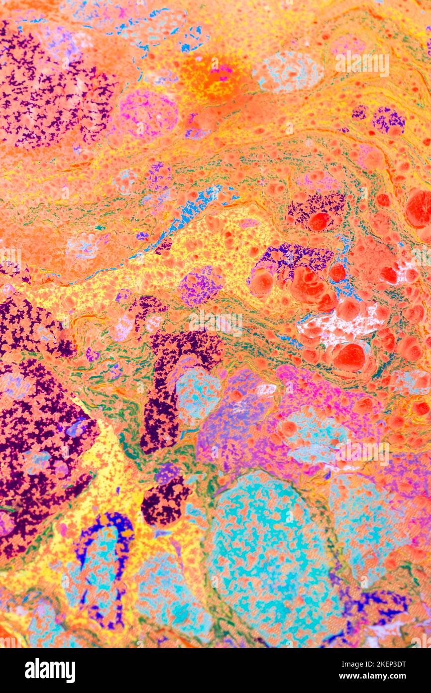 Traditional marbling artwork patterns as colorful abstract background ...