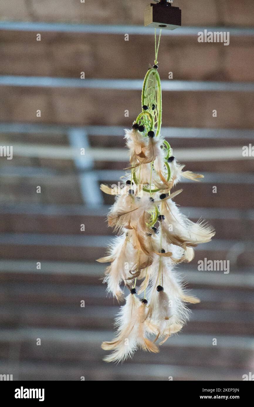 Collection of colorful bird feather for decoration Stock Photo - Alamy