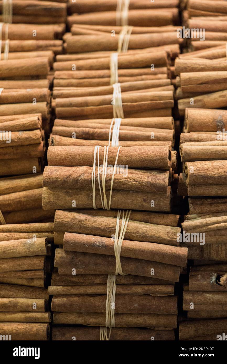 Bundles of Cinnamon sticks in stock Stock Photo - Alamy