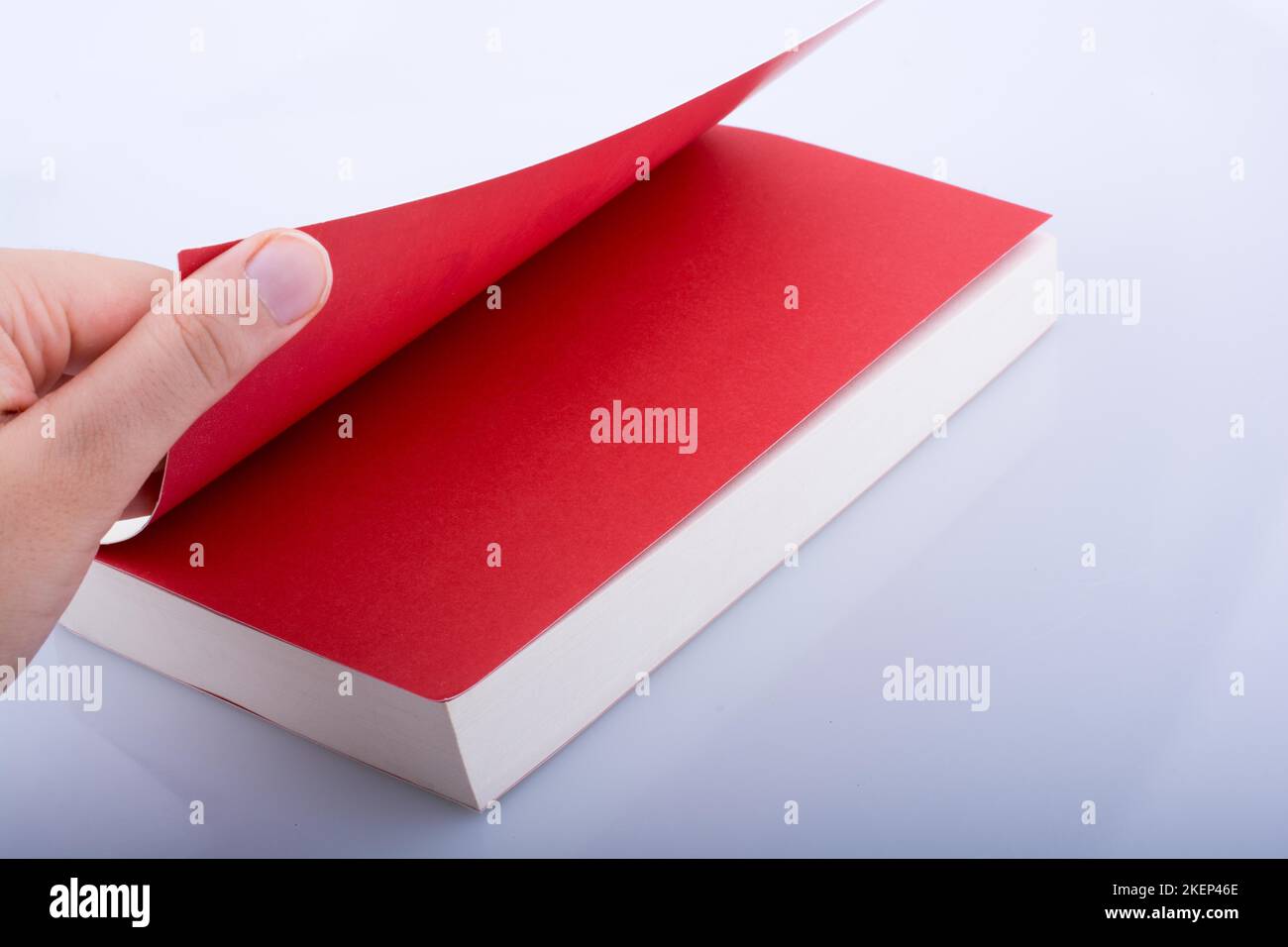 Hand holding a book on a white background Stock Photo - Alamy