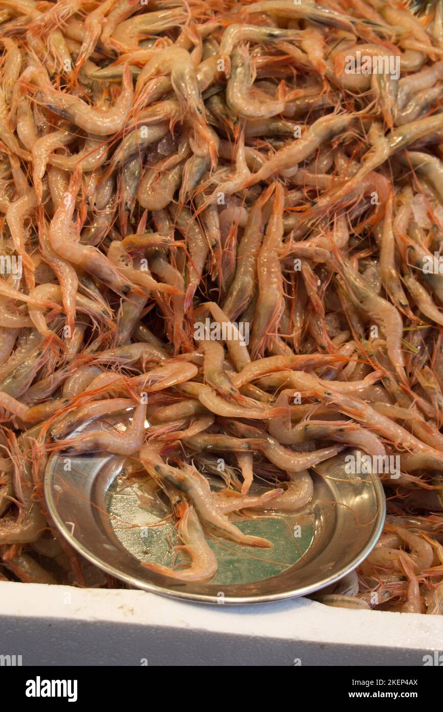 Raw shrimp with head, fresh and ready to cook Stock Photo - Alamy