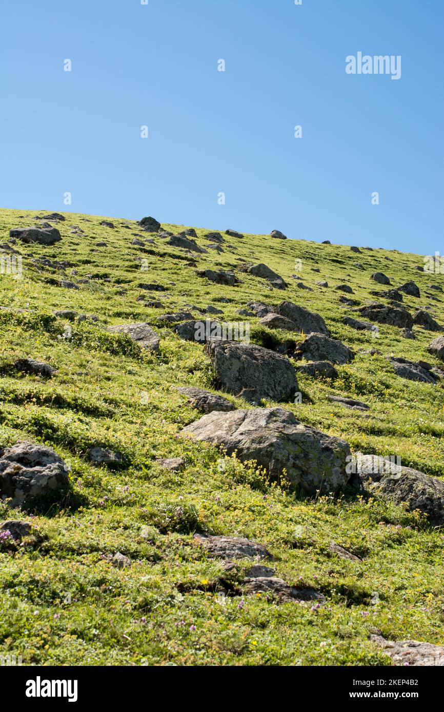 Green pasture in mountains during summer as nature background Stock ...