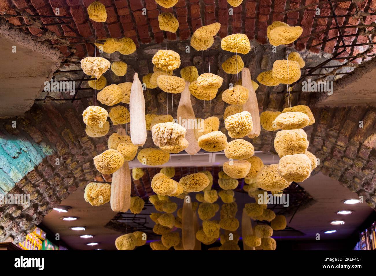 Collection of sea sponges hanging on a market stall Stock Photo - Alamy