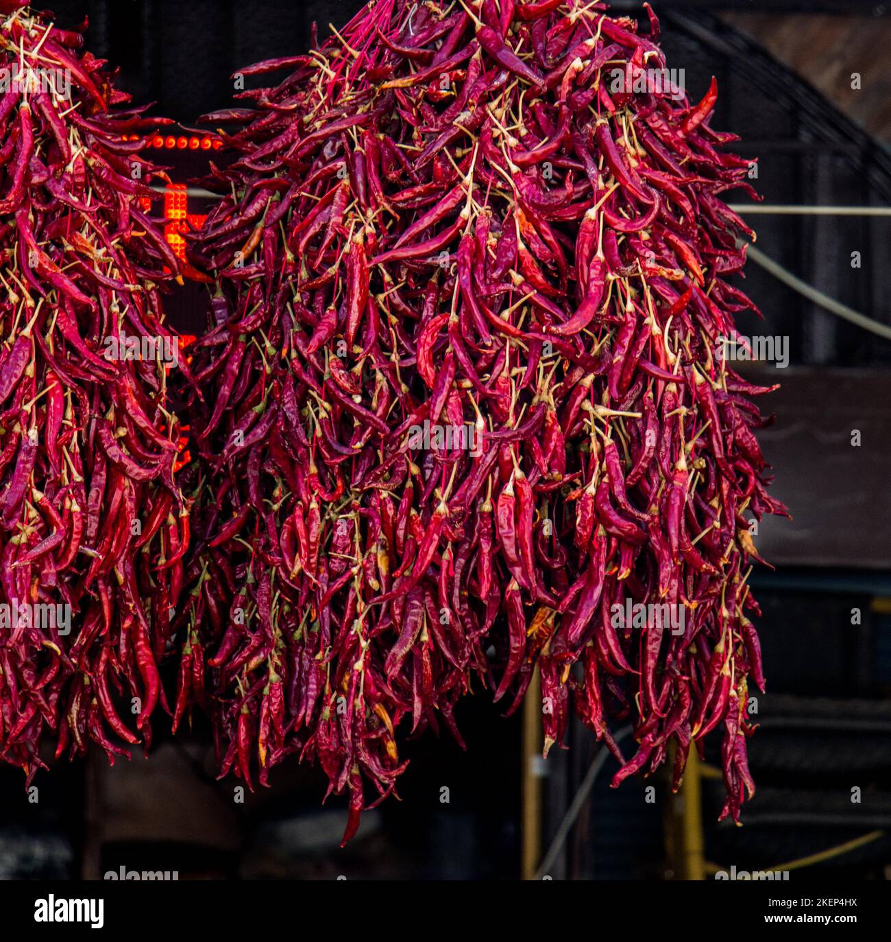 Bundles of red peppers dry in the sun Stock Photo - Alamy