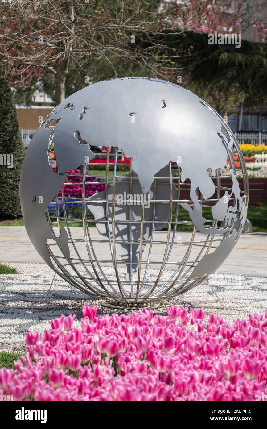 Pink color tulip flowers bloom in the garden Stock Photo - Alamy