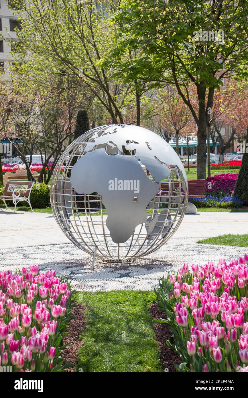 Pink color tulip flowers bloom in the garden Stock Photo - Alamy