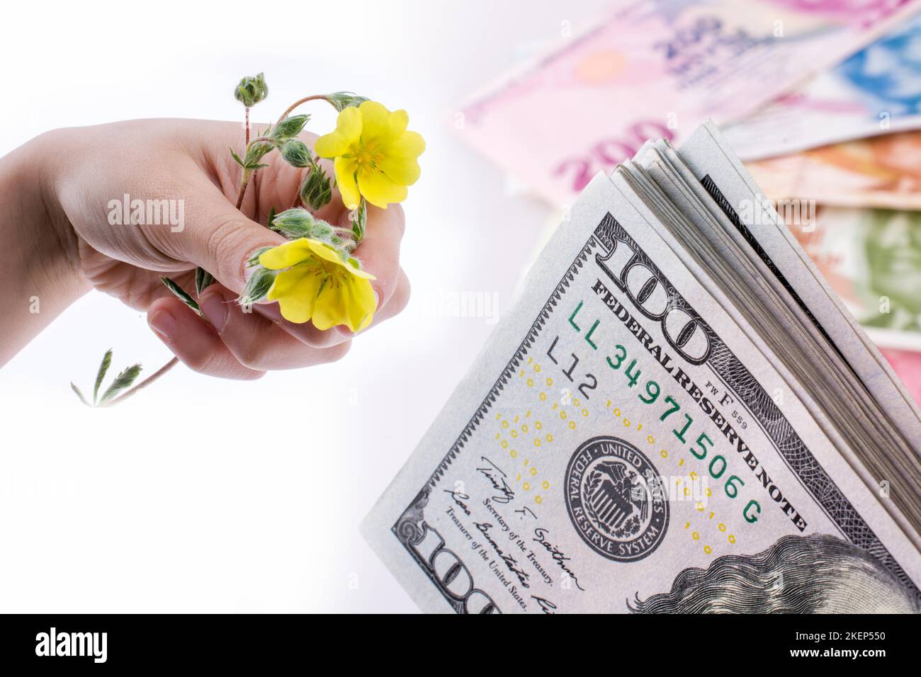 Hand holding flowers beside Bundle of US dollar banknotes Stock Photo ...
