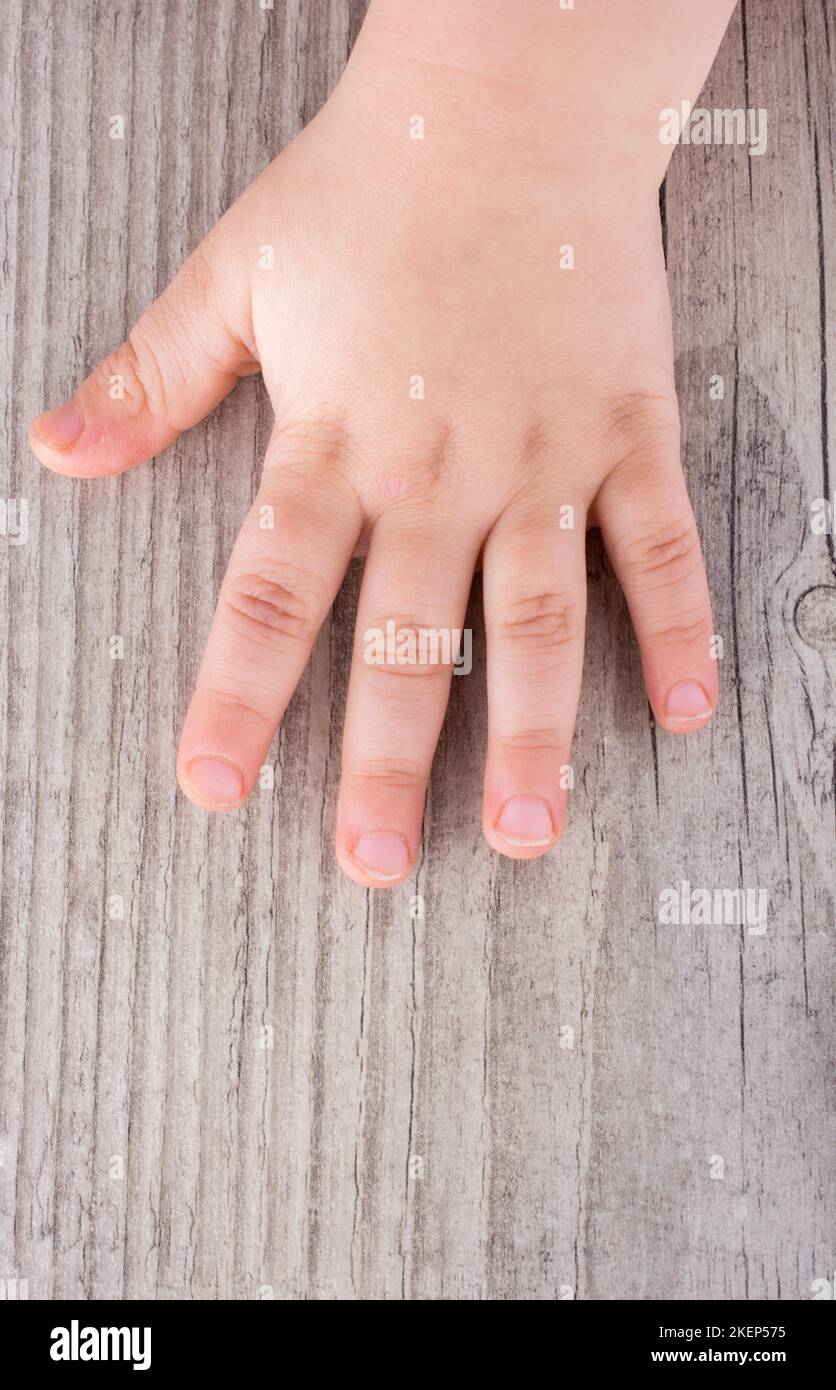 Hand open for a gesture isolated on white background Stock Photo - Alamy