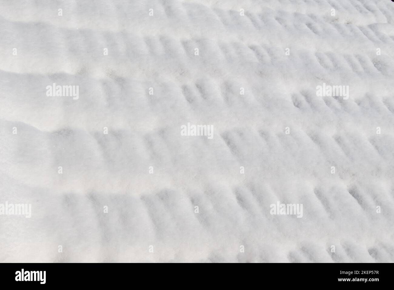 Snow winter background mostly in white color Stock Photo - Alamy