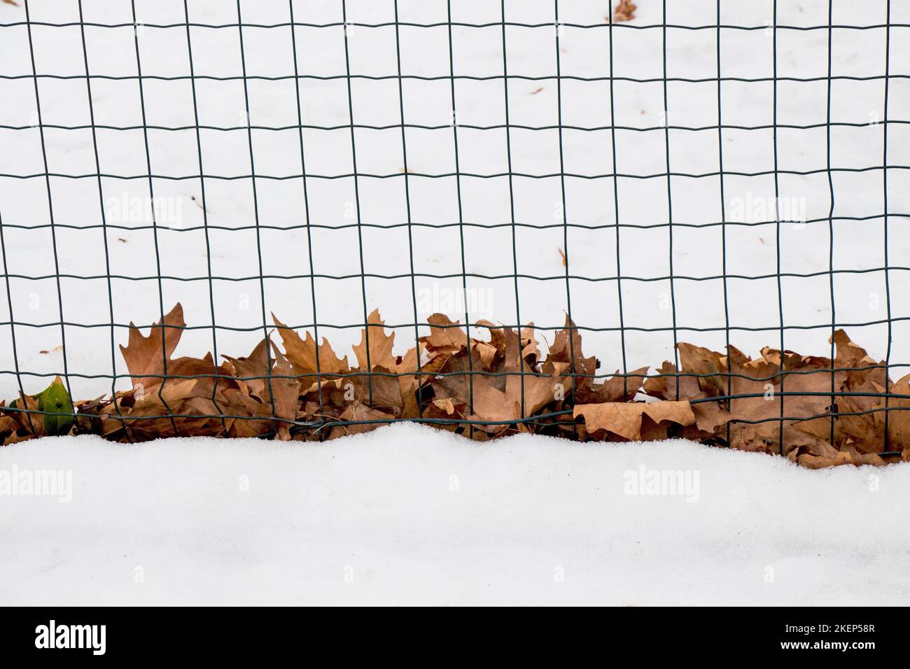 Wire fence used for protection purposes of a pproperty Stock Photo - Alamy
