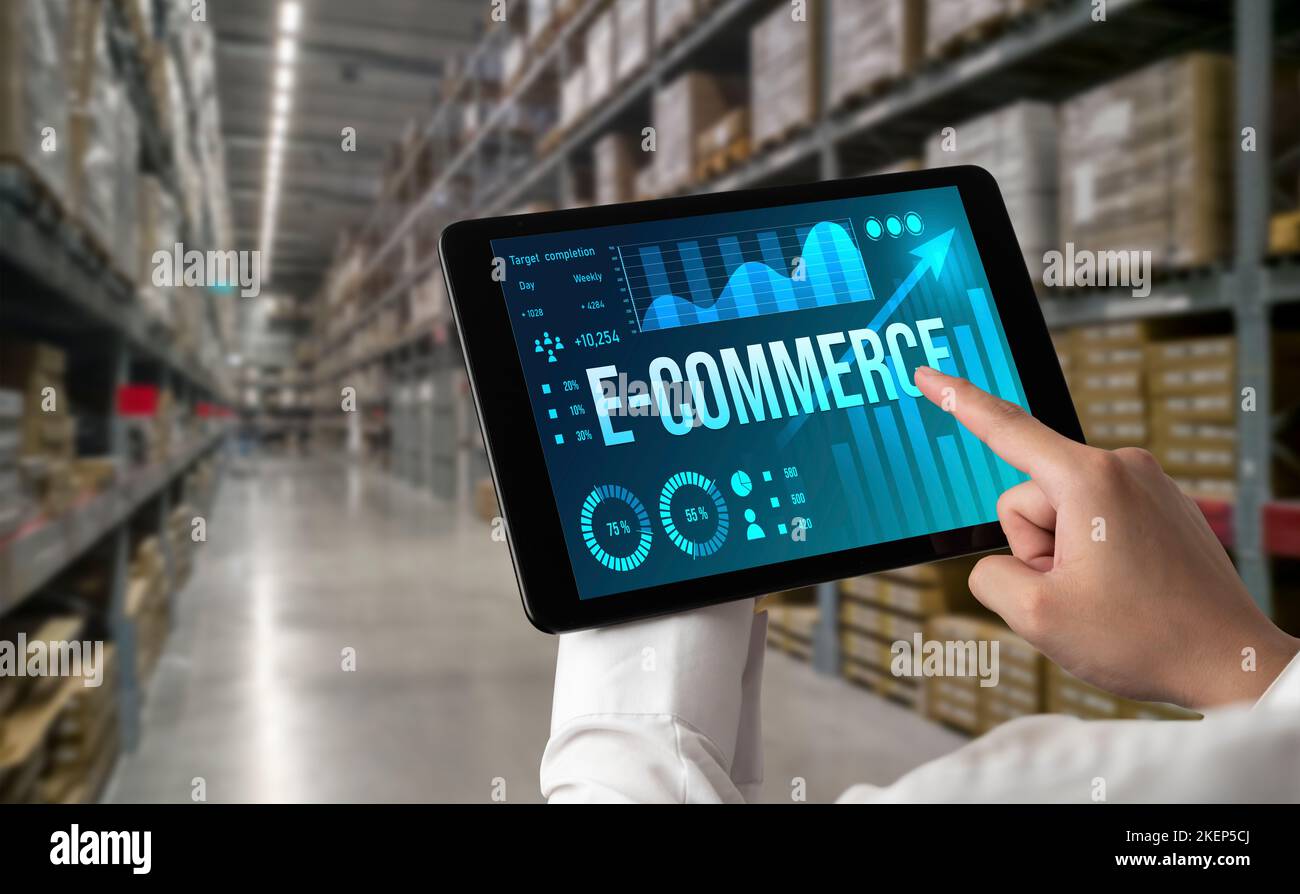 E-commerce data software provide modish dashboard for sale analysis to ...