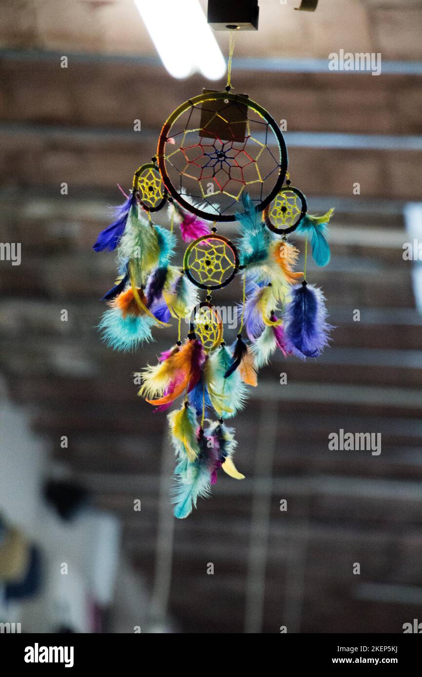 Collection of colorful bird feather for decoration Stock Photo - Alamy