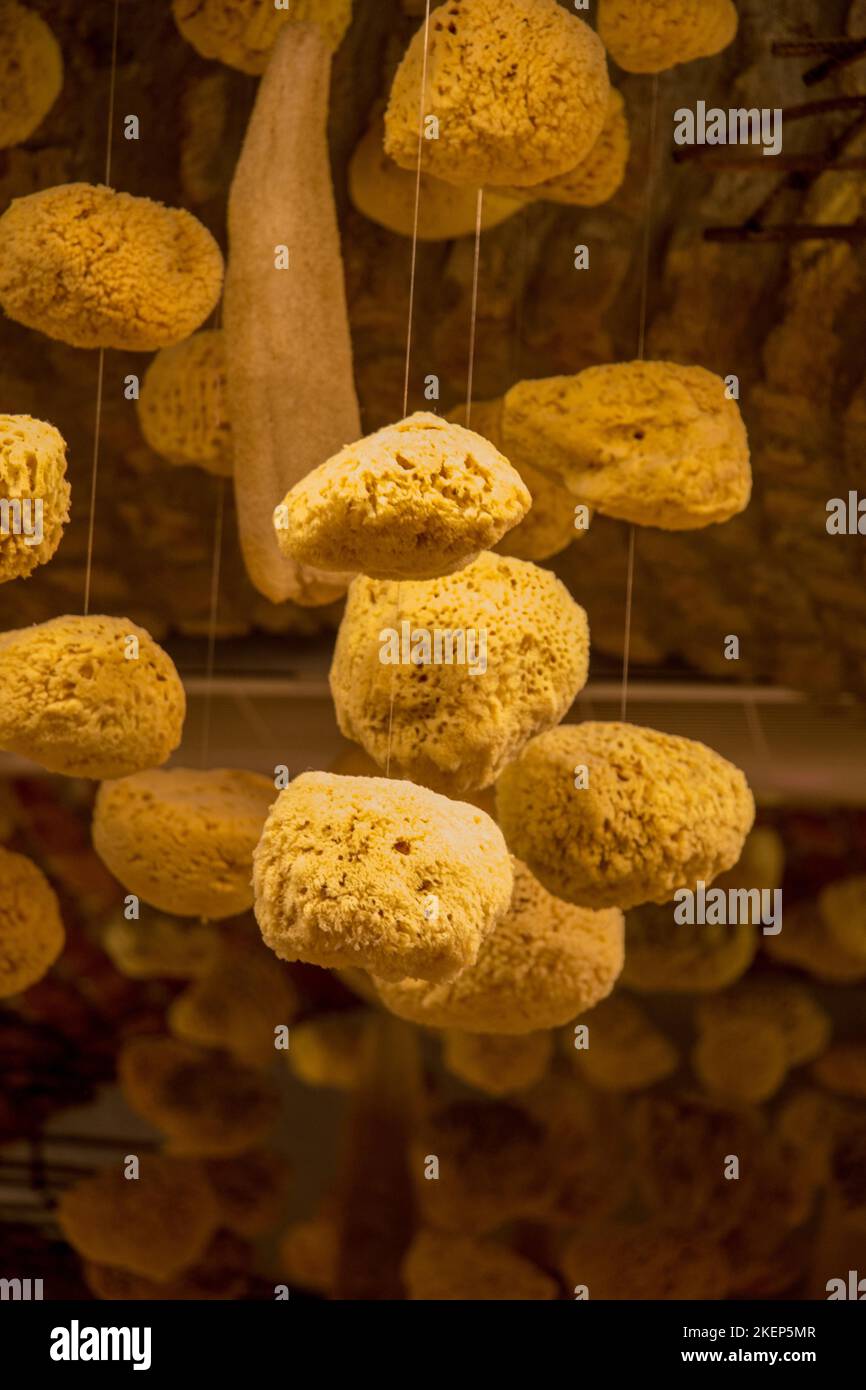 Collection of sea sponges hanging on a market stall Stock Photo - Alamy