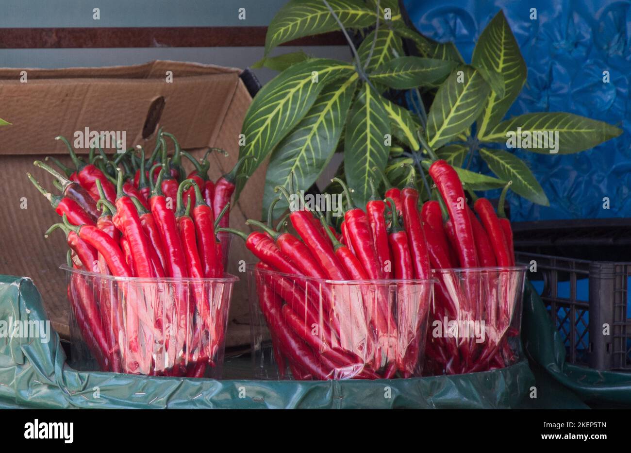 Crop stand hi-res stock photography and images - Alamy