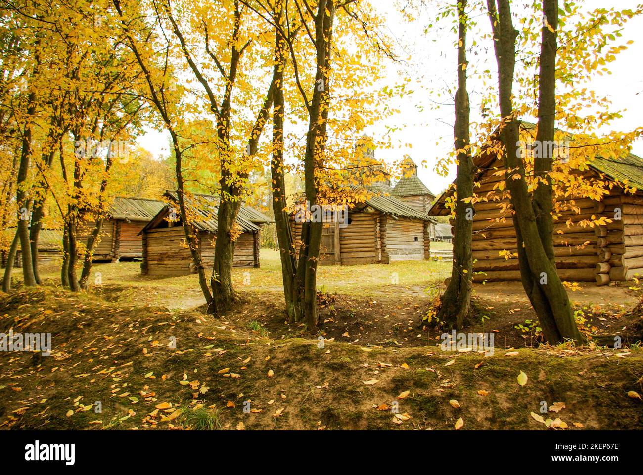 Traditional ukrainian rural cottage with a straw roof Stock Photo - Alamy