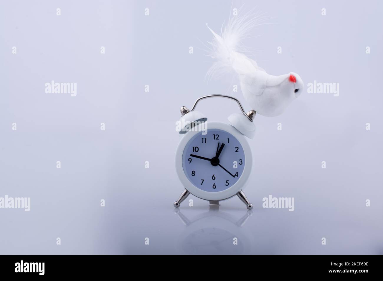 Fake bird white color alarm clock on white background Stock Photo - Alamy