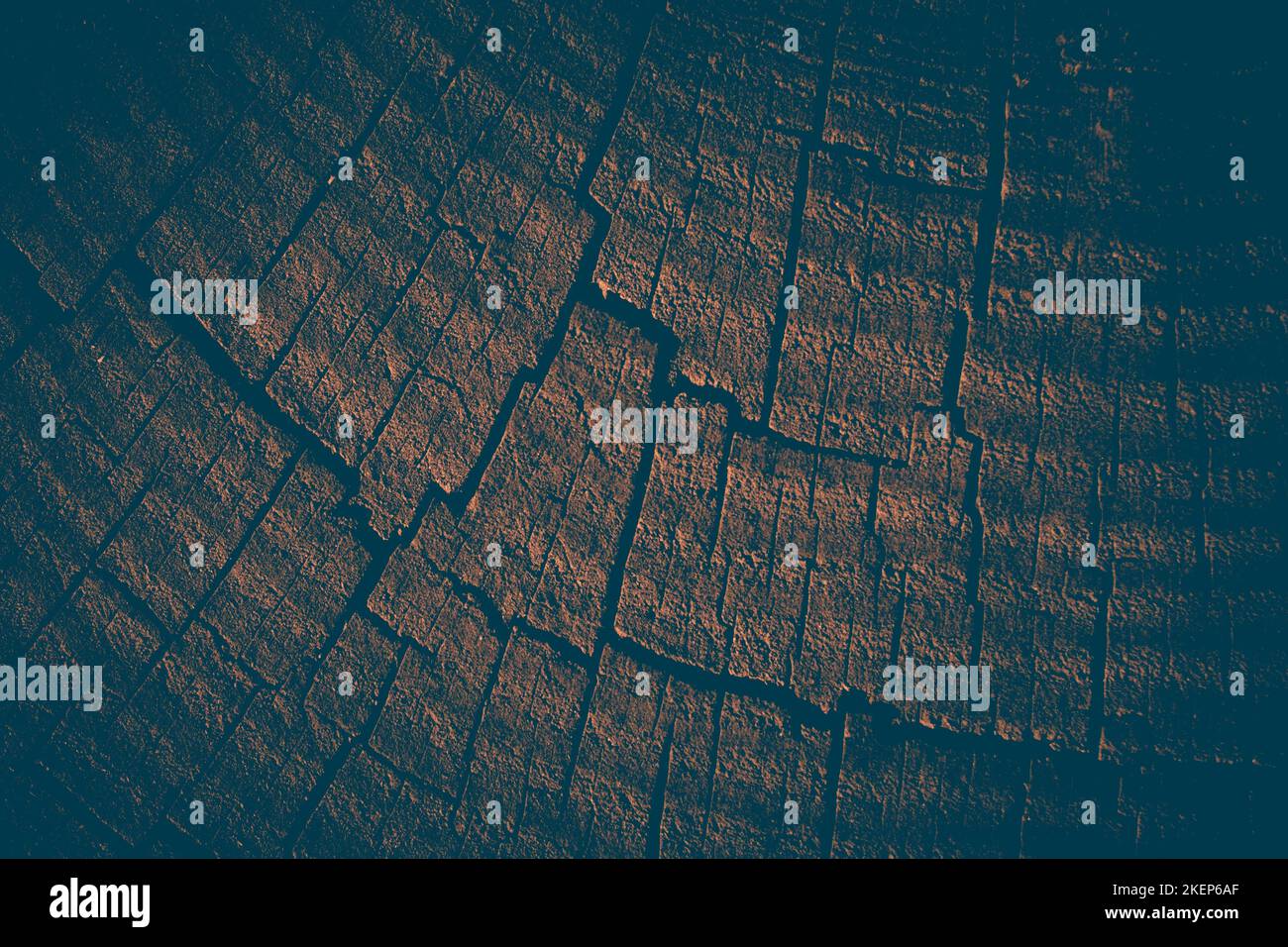 Cut tree stump surface as a background texture Stock Photo - Alamy