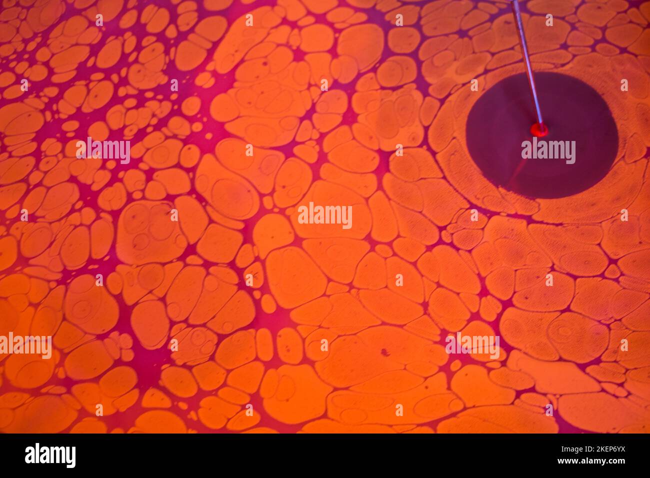 Man drawing with stick stained inks on water surface Stock Photo - Alamy