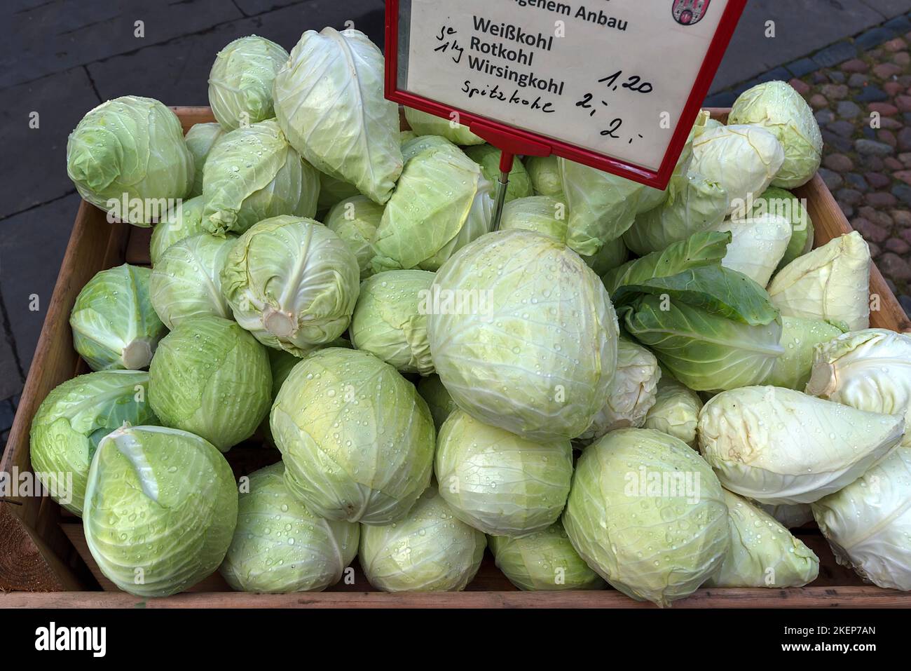 White and pointed cabbage at the weekly market market, Luenburg, Lower ...