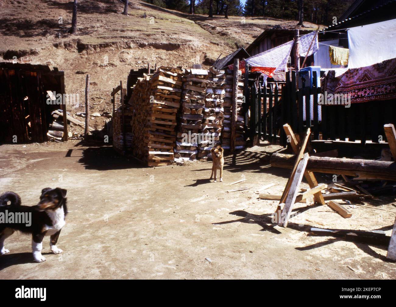 RUS, Soviet Union, Moscow: Imprwessions from the USSR 1972. Siberia ...