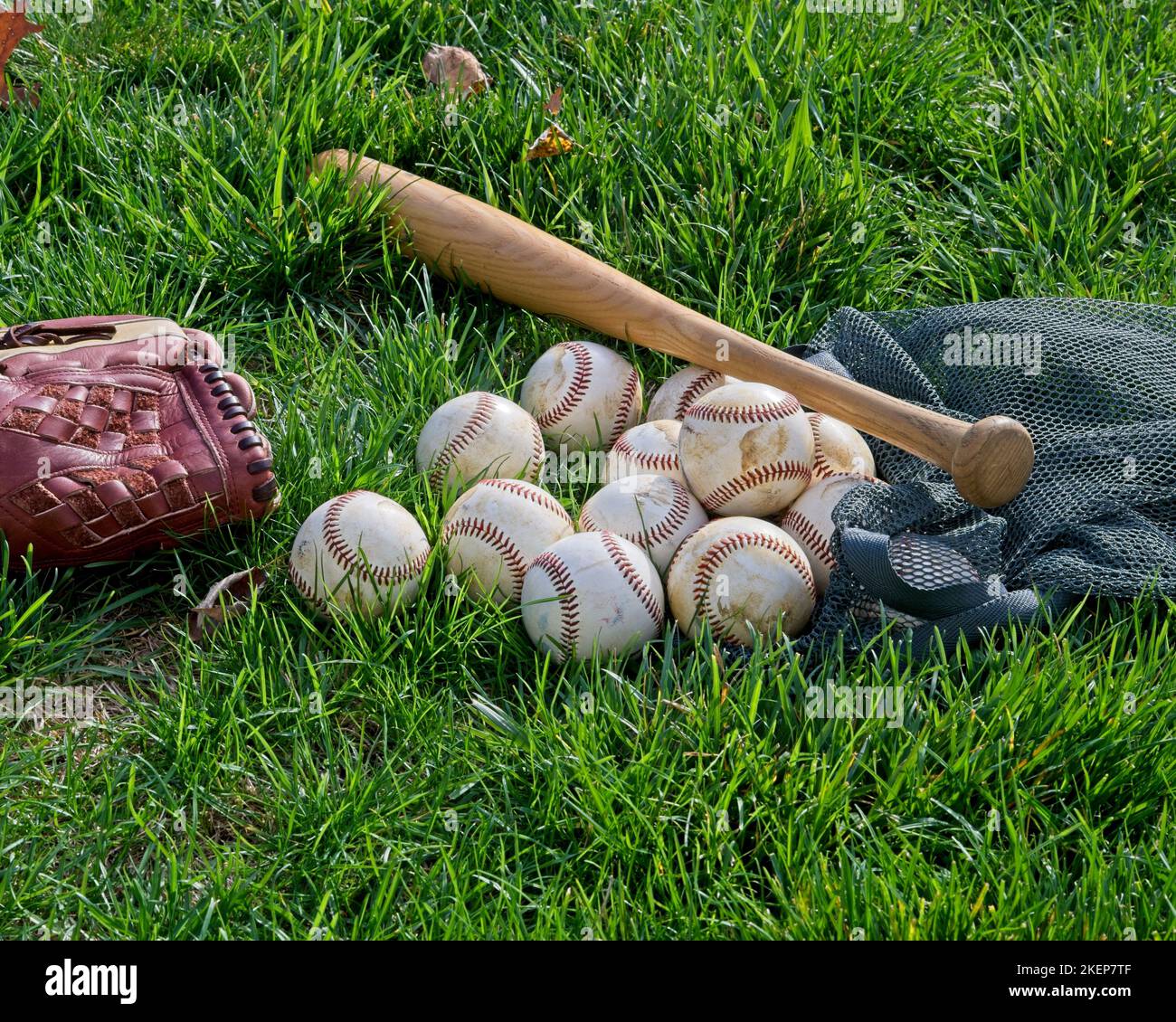 Baseballs dark brown mitt and a bat in the grass Stock Photo - Alamy