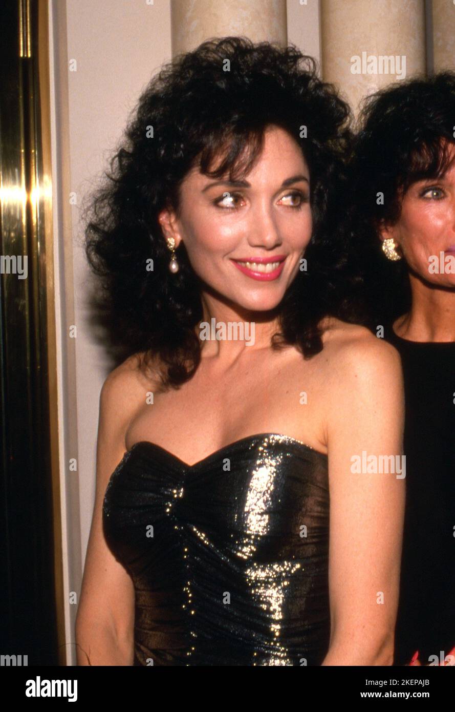 Stepfanie Kramer at the 23rd Annual Academy of Country Music Awards on ...