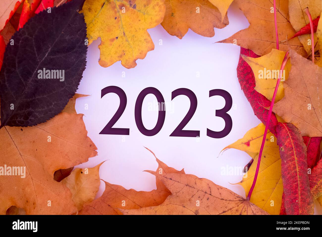 Autumn leaves, objects with the number 2023. Natural patterns, color ...