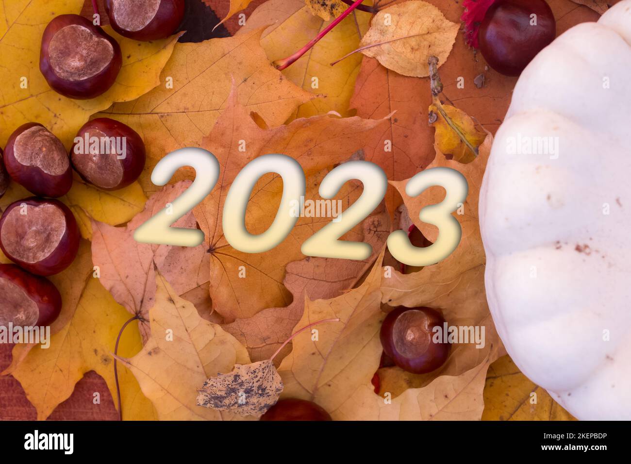 Autumn leaves, objects with the number 2023. Natural patterns, color ...